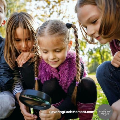 Exploring Nature with Children - Easy Ways to Encourage Curiosity