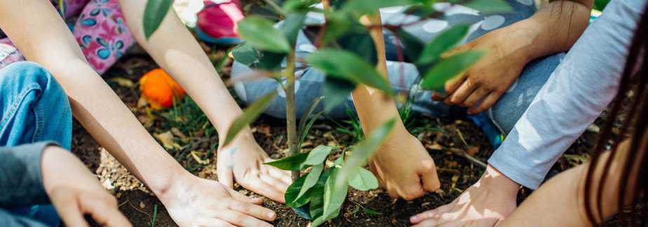 40 Fun and Educational Tree Activities for Kids - Savoring Each Moment